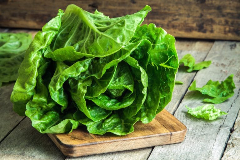 lattuga - Ricetta Mediterranea