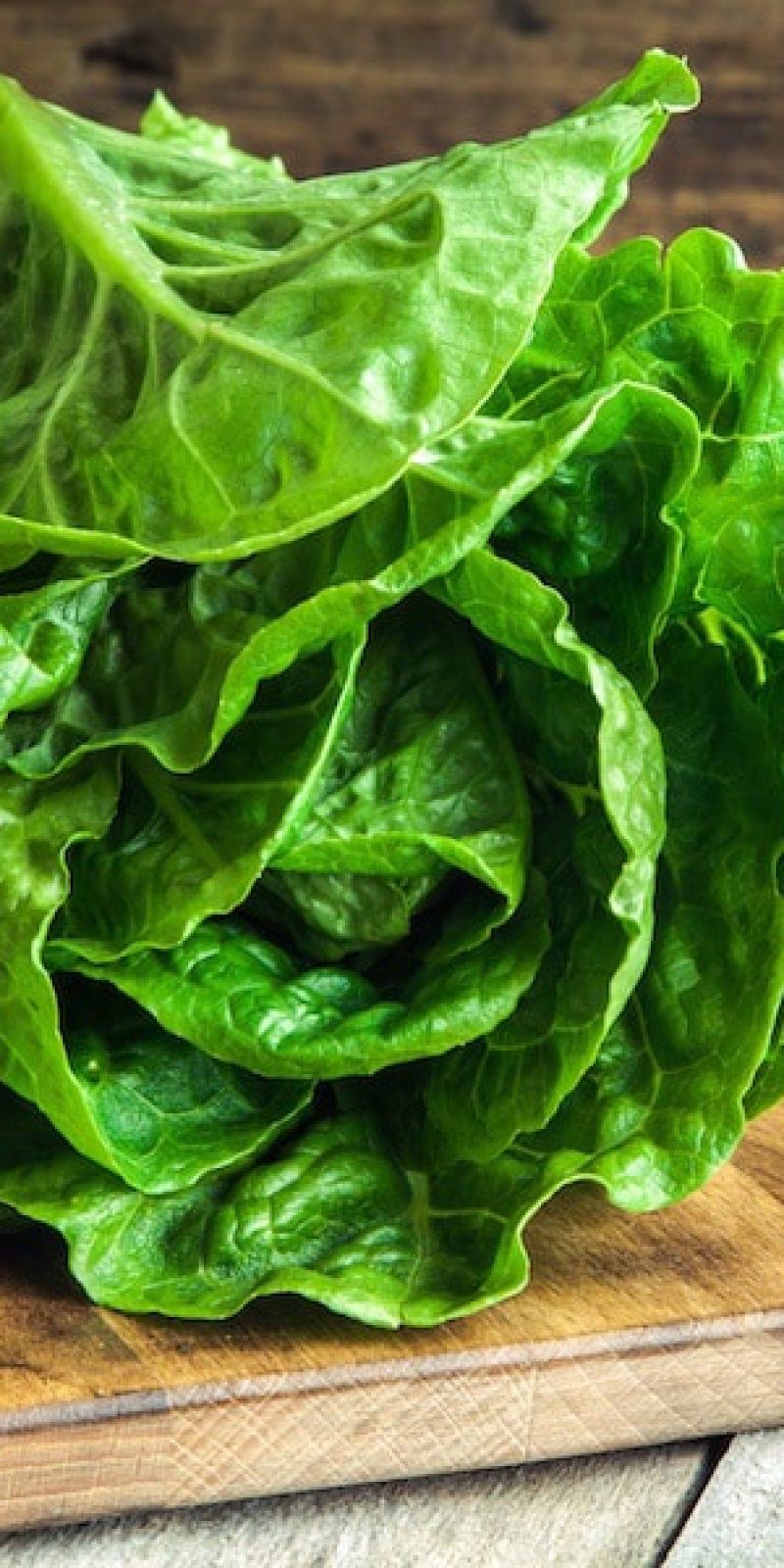 lattuga - Ricetta Mediterranea