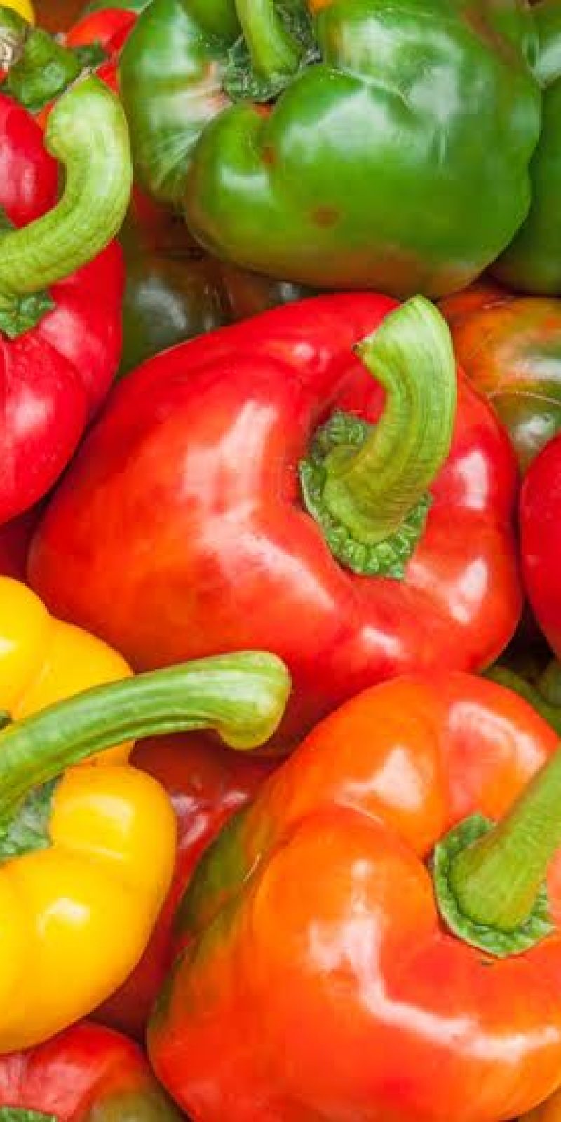 peperoni - Ricetta Mediterranea