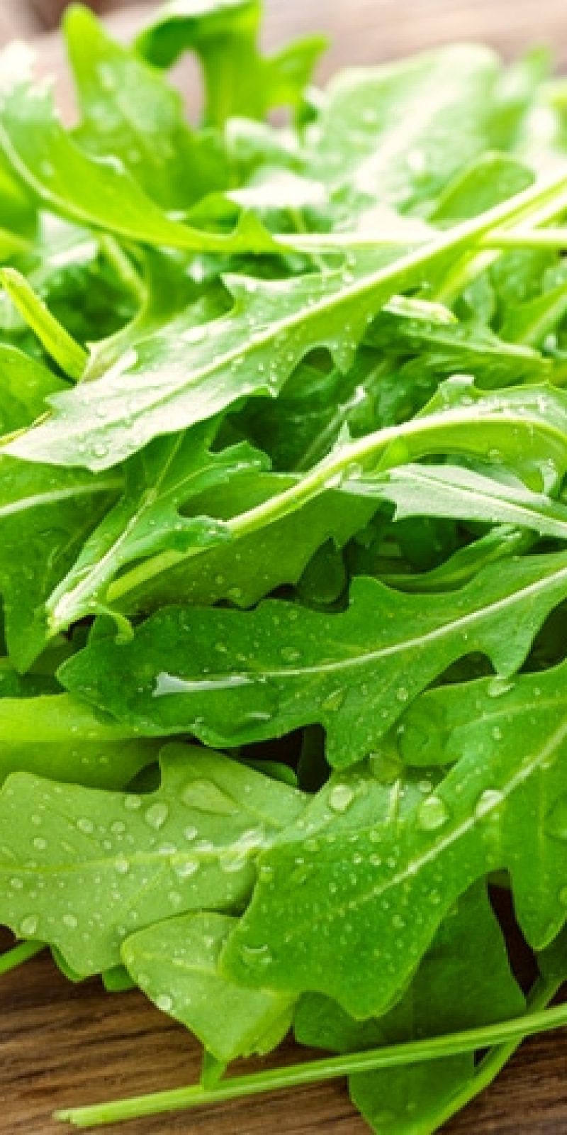 La rucola: origini e ricette della pianta mediterranea